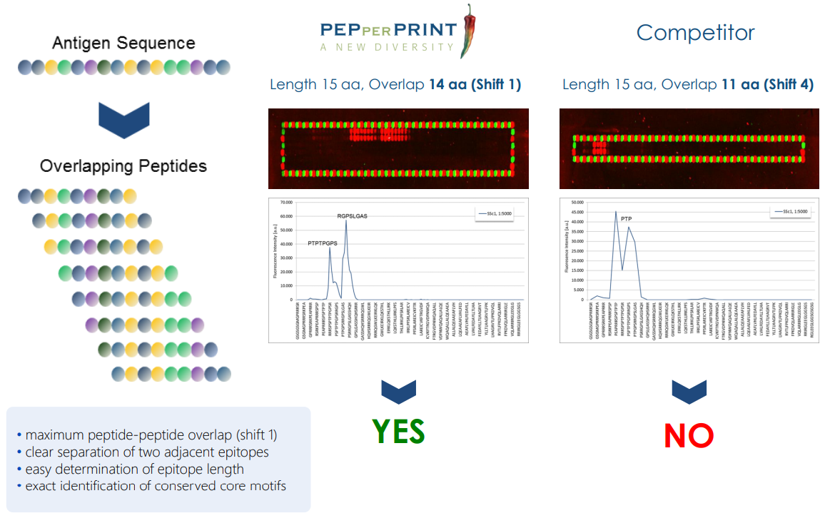 PEPperPRINT社 – Custom Services|東京未来スタイル