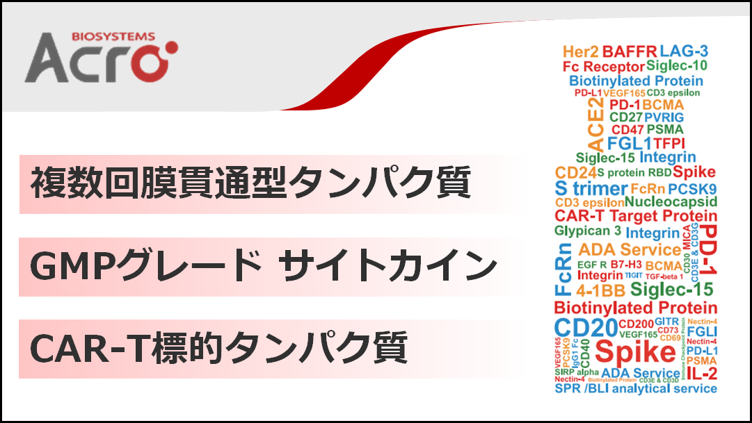 Bio X Cell社 – 抗体の構造|東京未来スタイル
