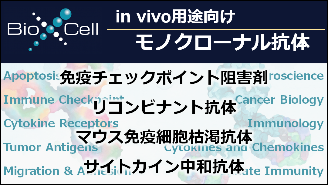 BioXCell — がん免疫療法に最適化されたアゴニスト活性をもつ抗4-1BB抗体の探究|東京未来スタイル