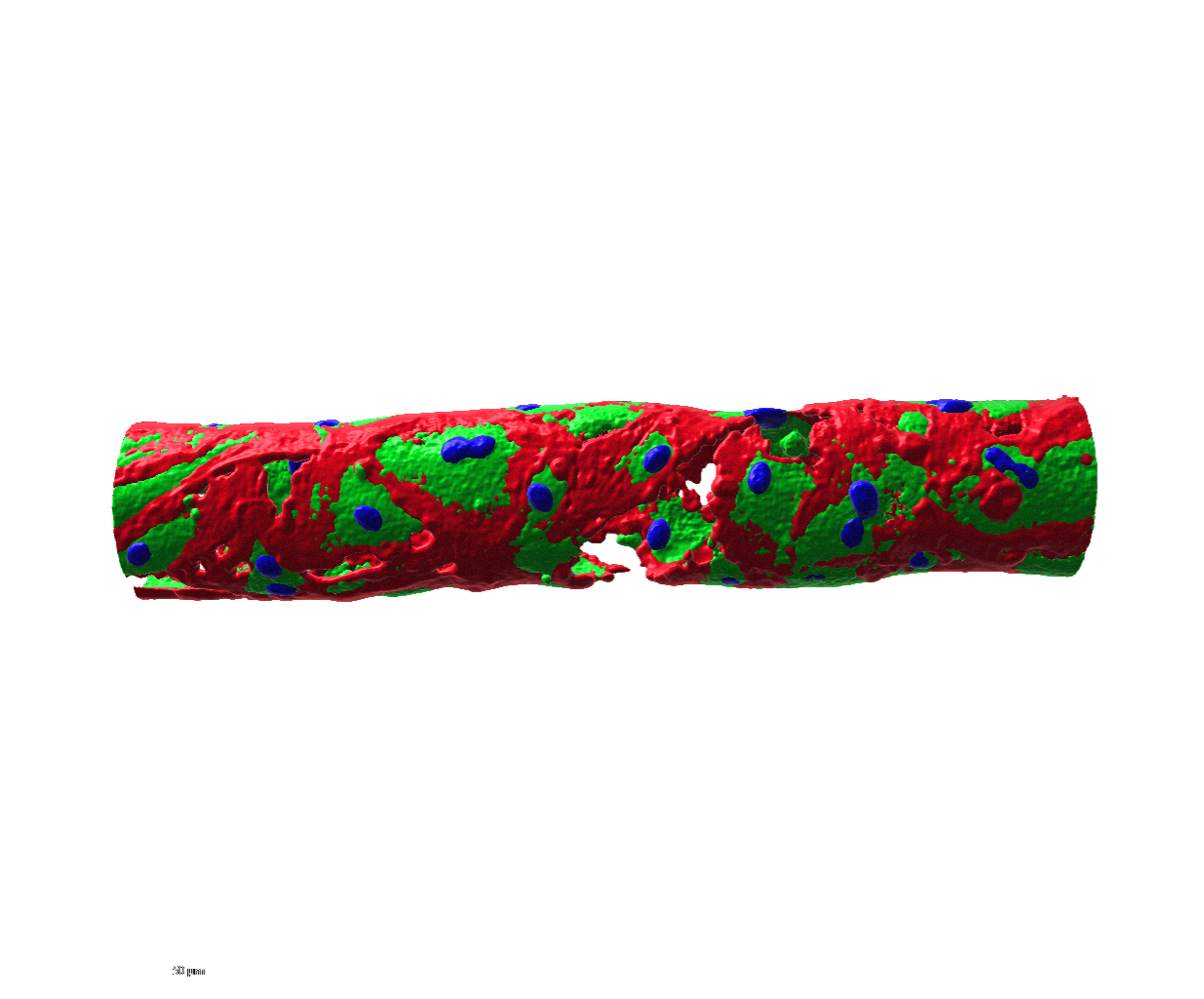 Finnadvance Ltd. – AKITA® Plate|東京未来スタイル