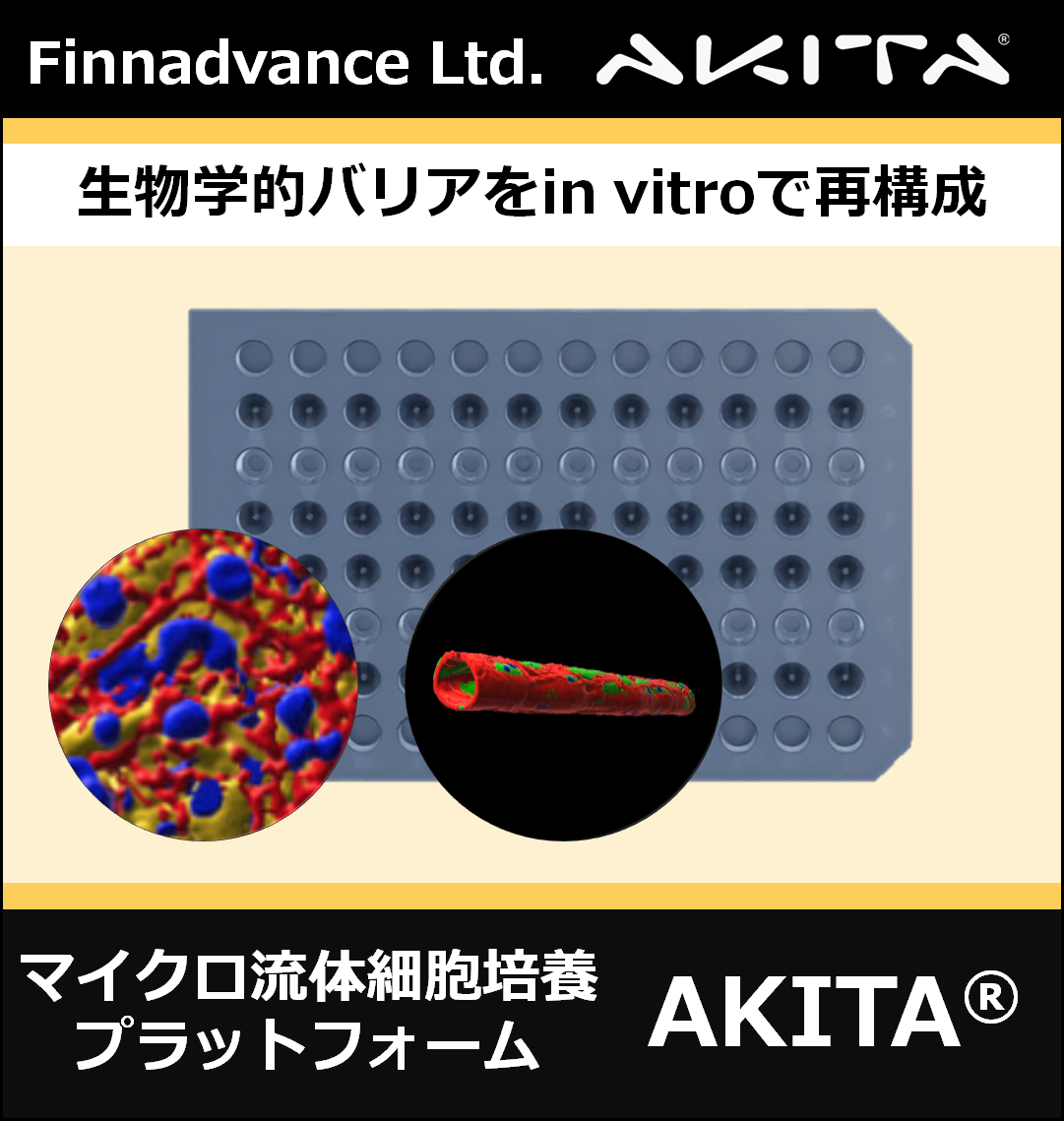 BioXCell社 – 抗PD-1抗体の選び方|東京未来スタイル